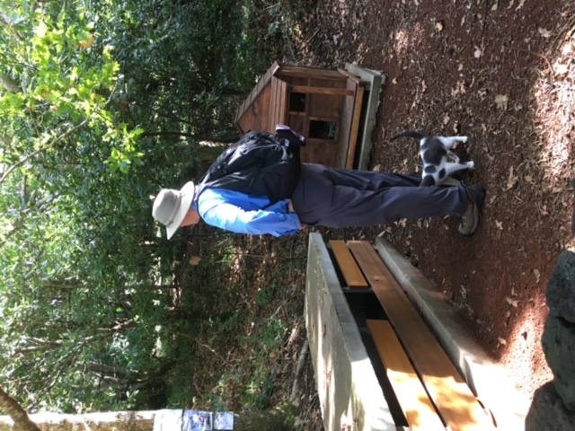 feral-cat-segmentation Instance Segmentation Dataset and Pre-Trained Model by Paul Cashman