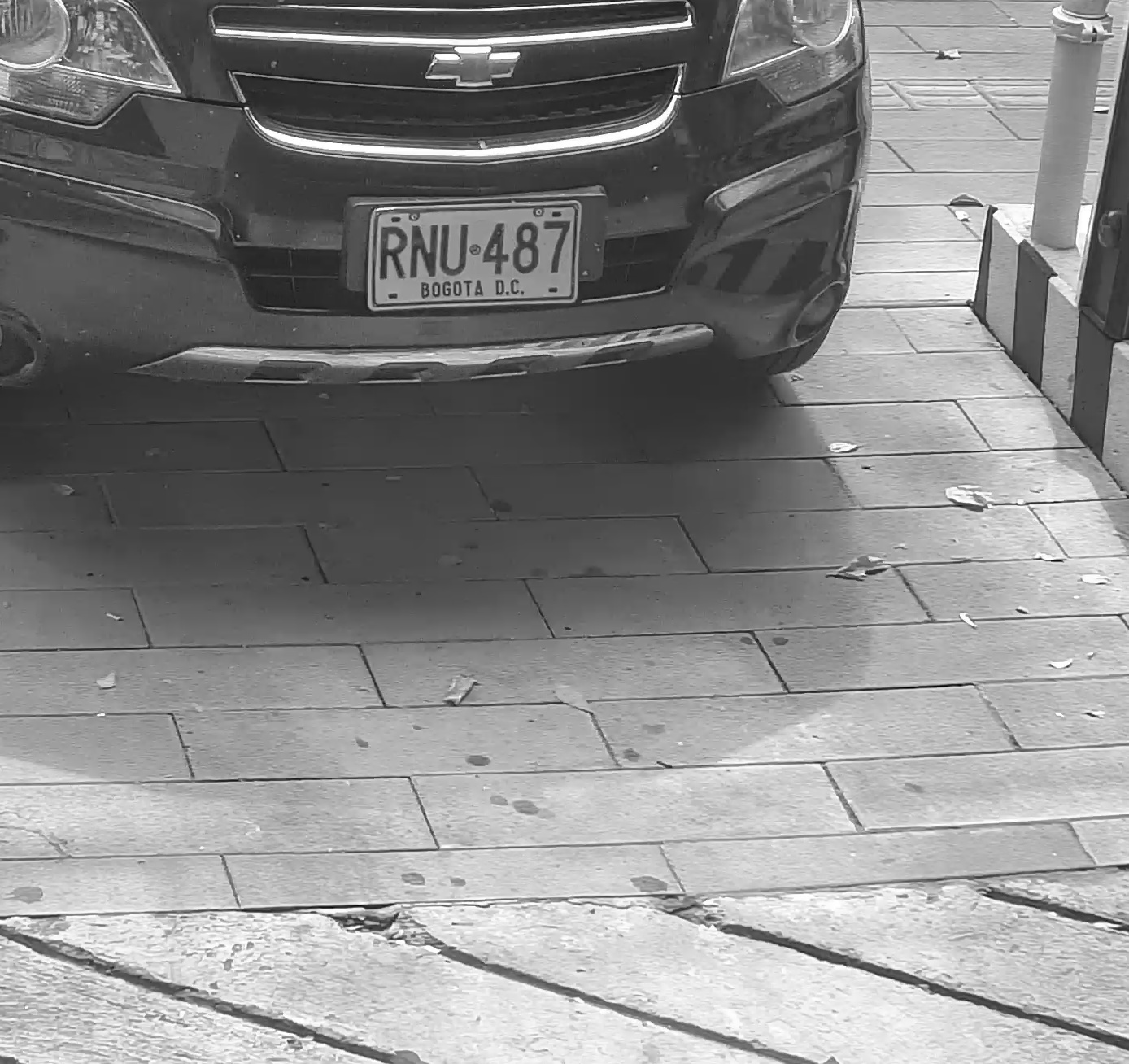 Licence Model Object Detection Dataset By Lumind