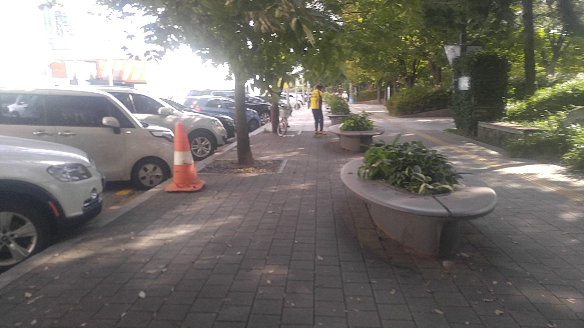 road Instance Segmentation Dataset and Pre-Trained Model by Nchofon