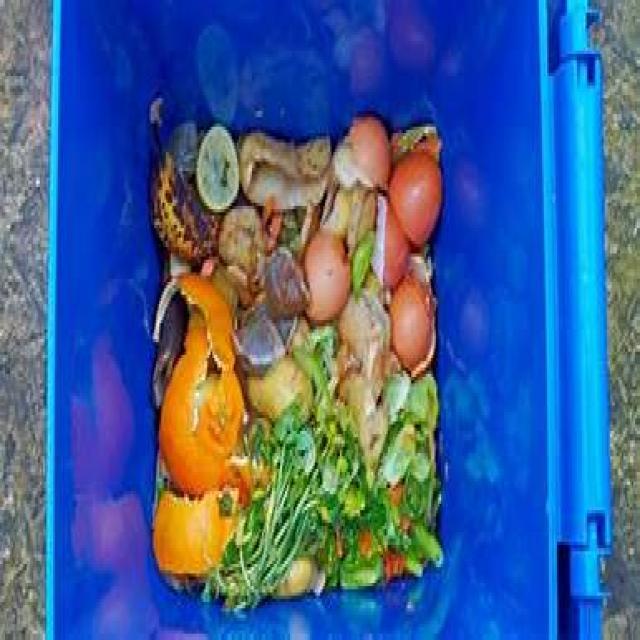 VNS Object Detection Dataset by trash detection