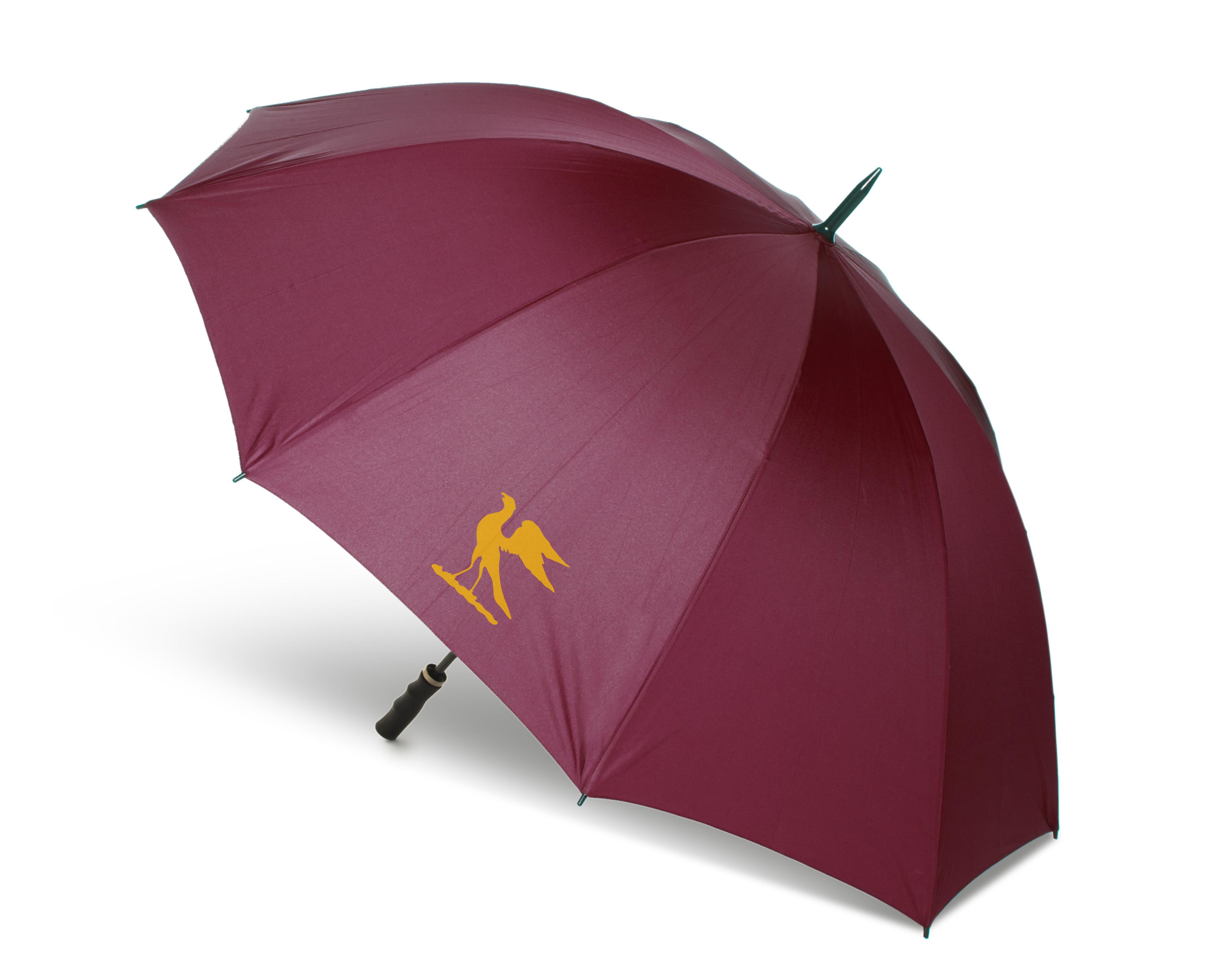 umbrella Object Detection Dataset by yellowLoad