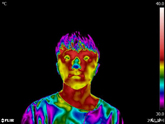 temp Object Detection Dataset by min