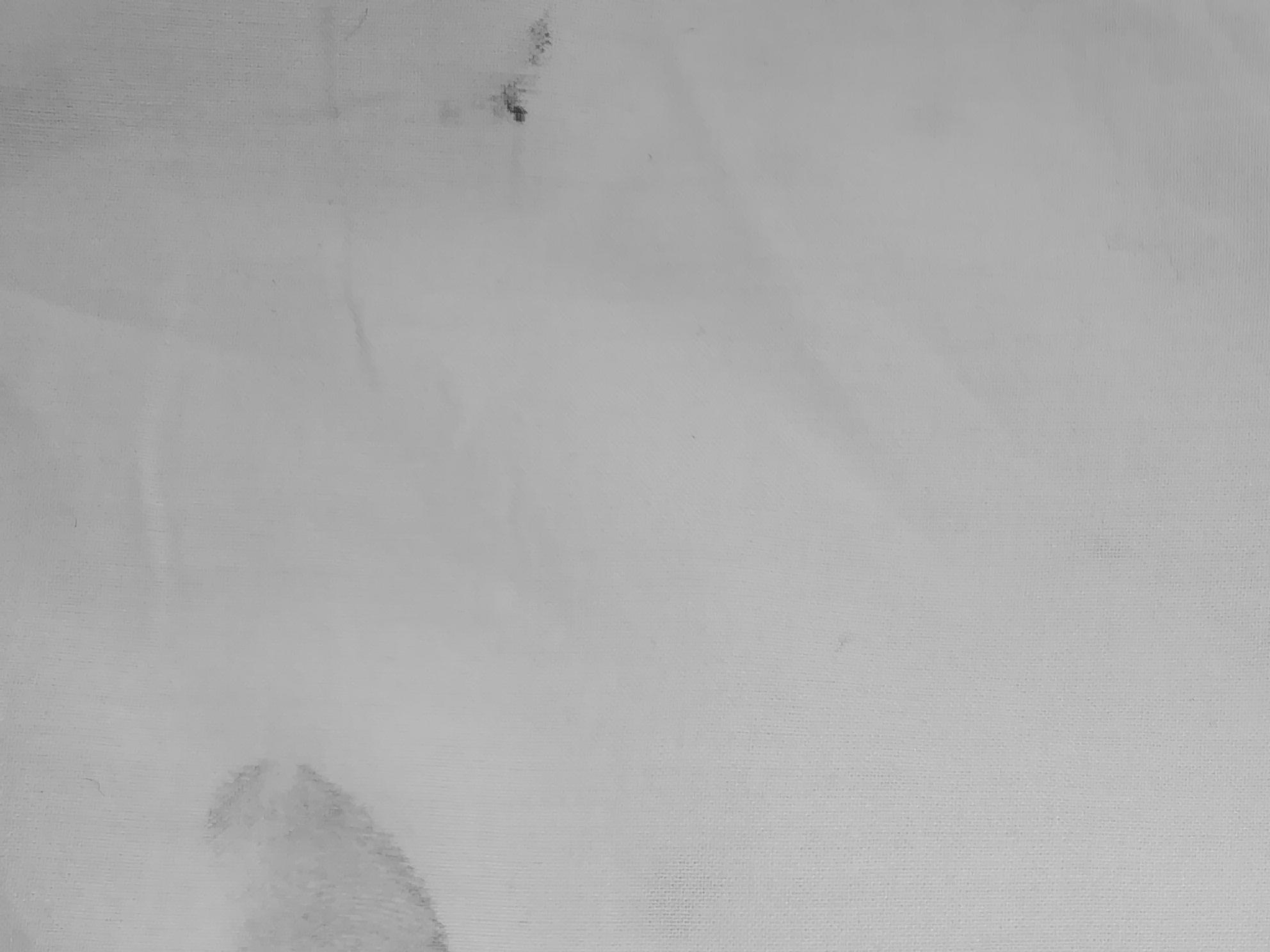 Fabric Object Detection Model by Fabric