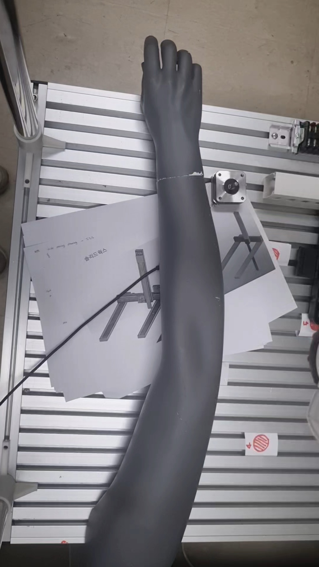 arm detection - Roboflow Universe