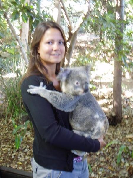 Caltech-256 grapes Object Detection Dataset and Pre-Trained Model by ...