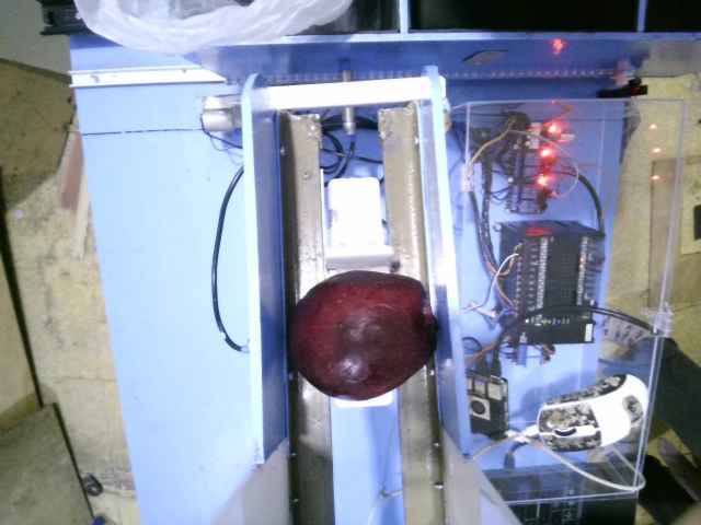Sorting Buah - Roboflow Universe