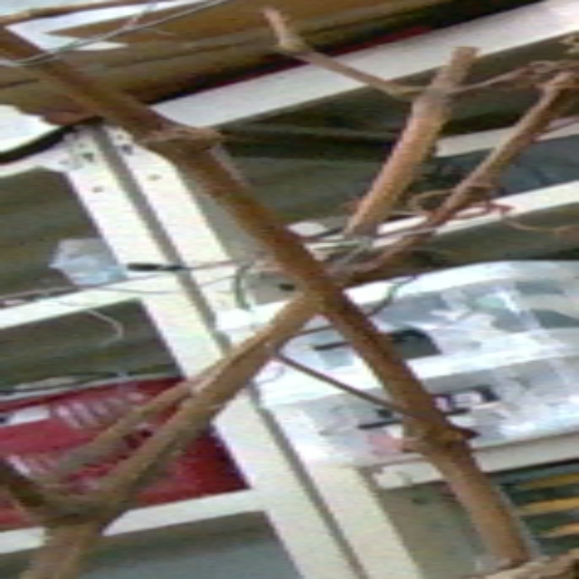 Buds On Single Shoot Object Detection Dataset By Branchpruning