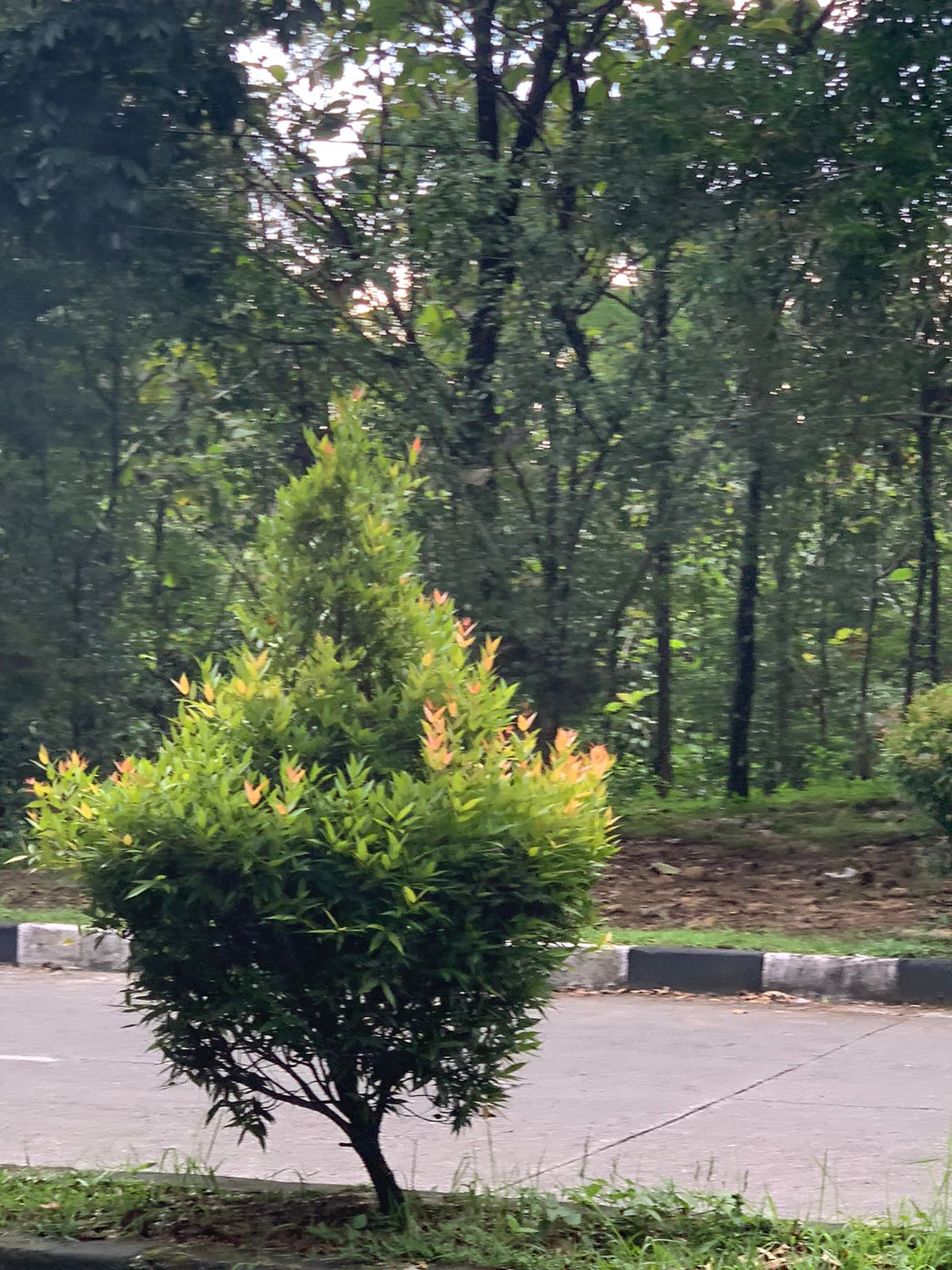 Machine Learning (machine-learning-fahmj) - Roboflow Universe