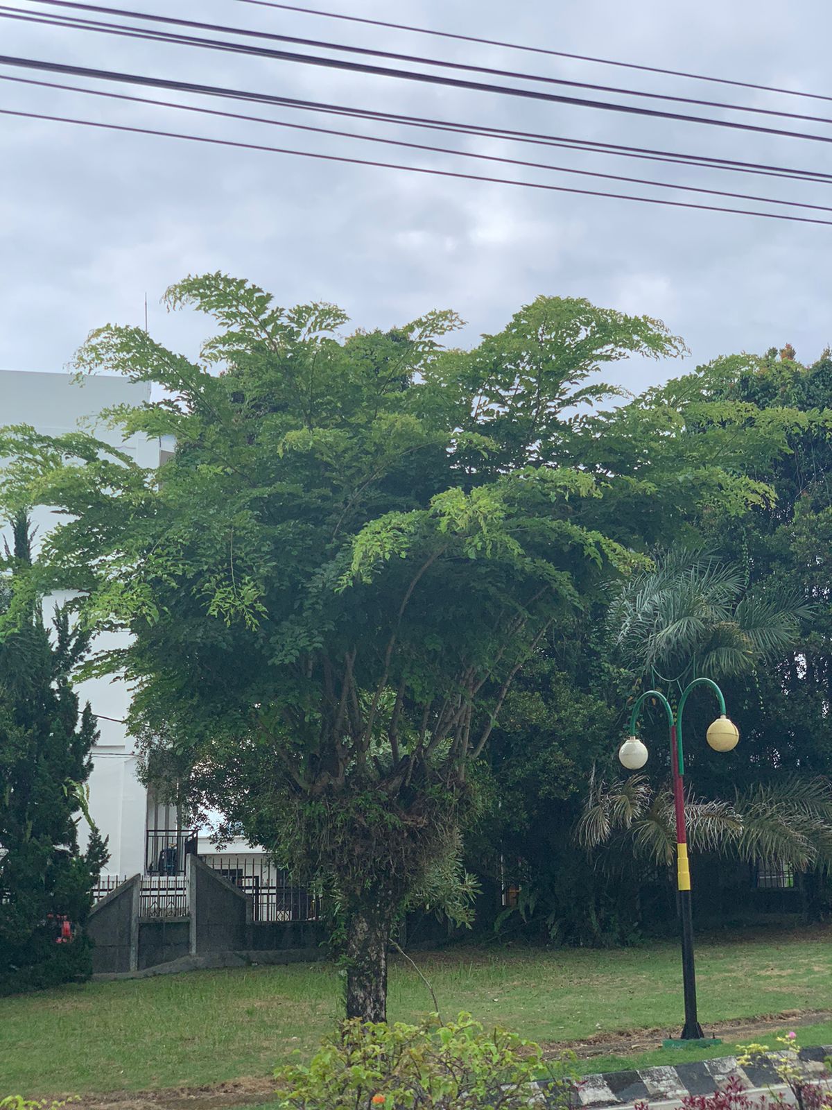 Machine Learning Object Detection Dataset By Machine Learning