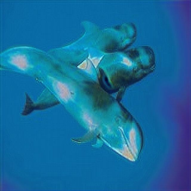 Rov Ai Model Object Detection Model By Project Rov