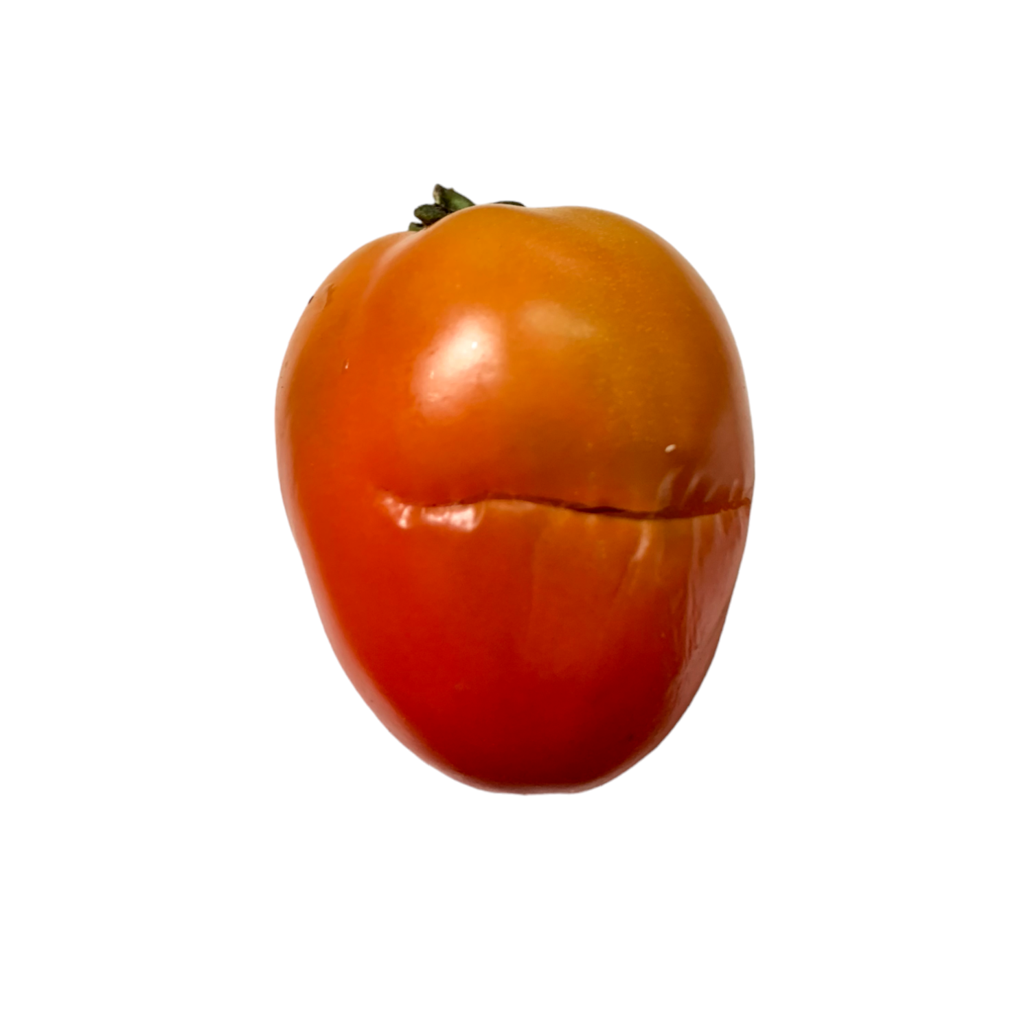 Tomato Sorting System Object Detection Dataset and Pre-Trained Model by Carlos Miguel Gasmen