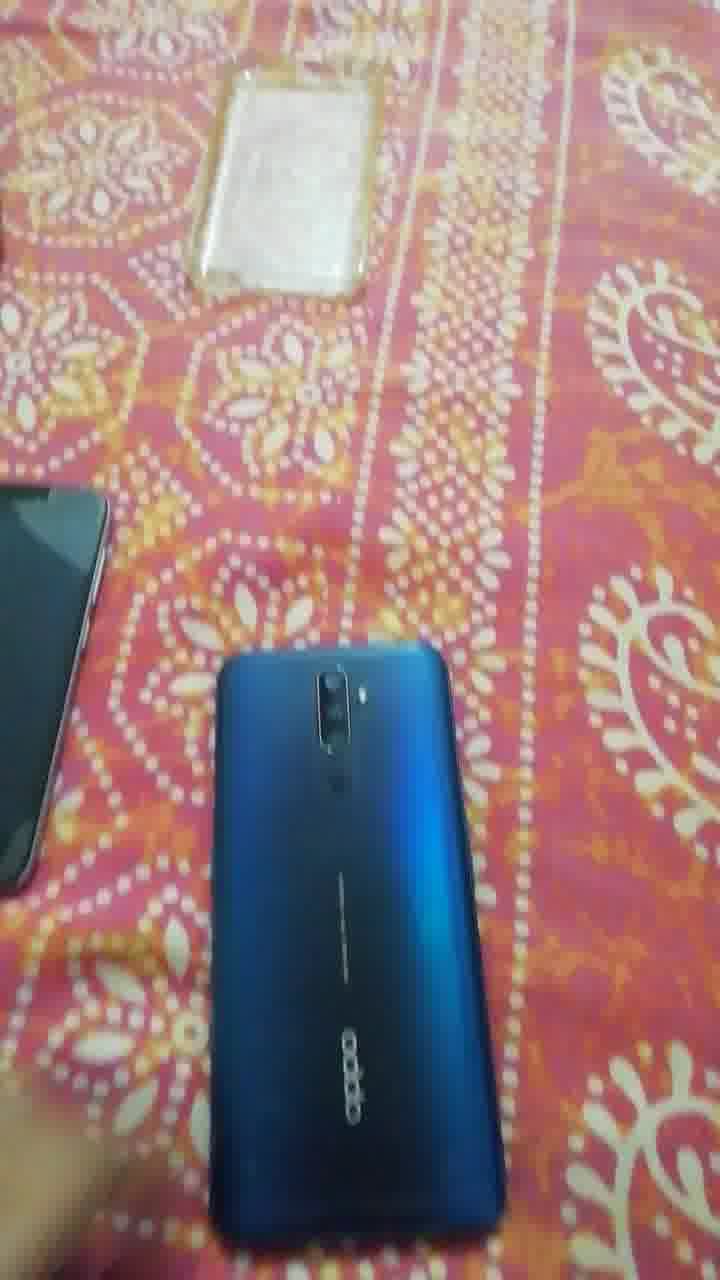 yolohassalt Object Detection Dataset and Pre-Trained Model by CV