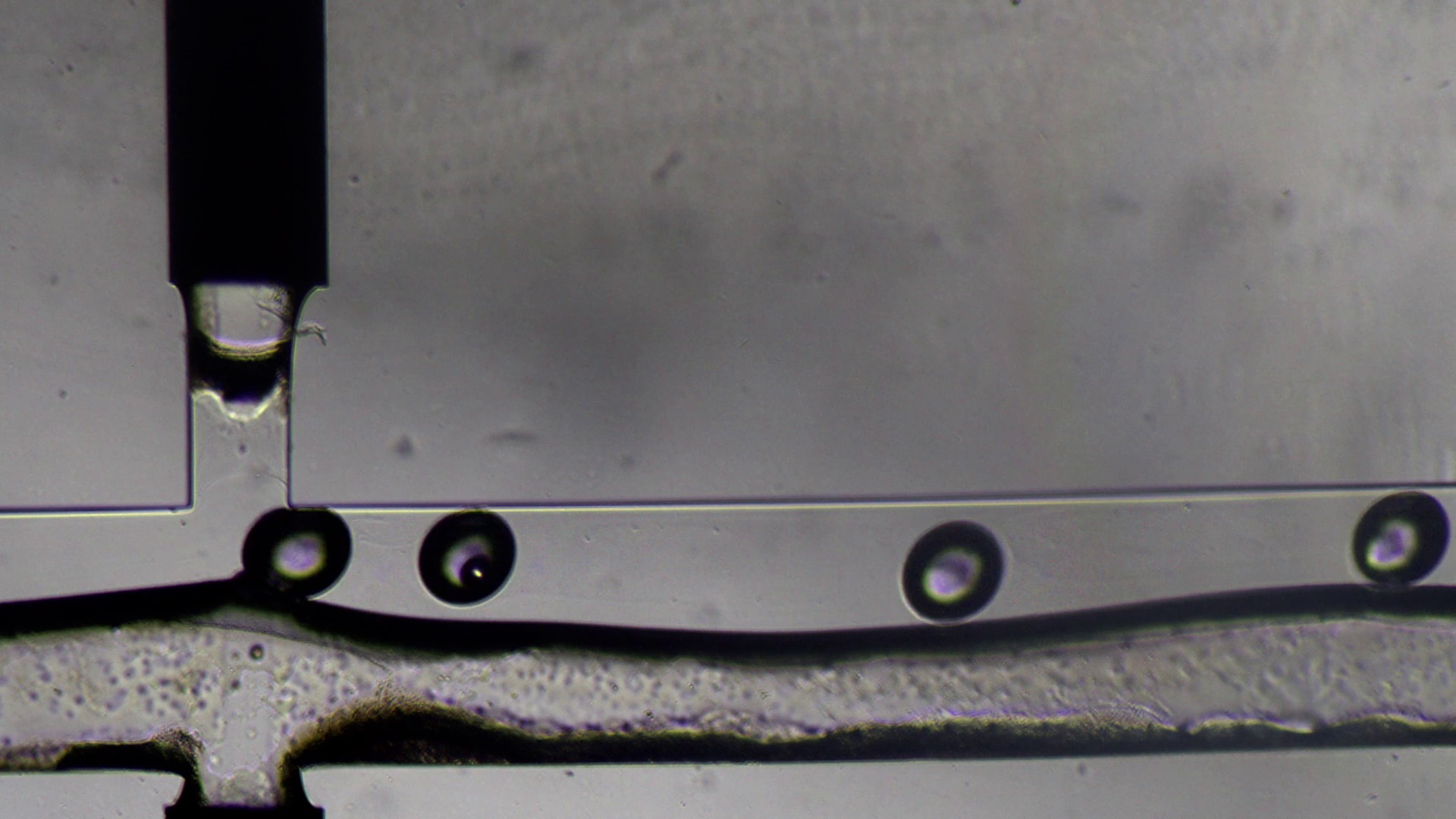 Droplets2 0 Object Detection Dataset And Pre Trained Model By Ustc
