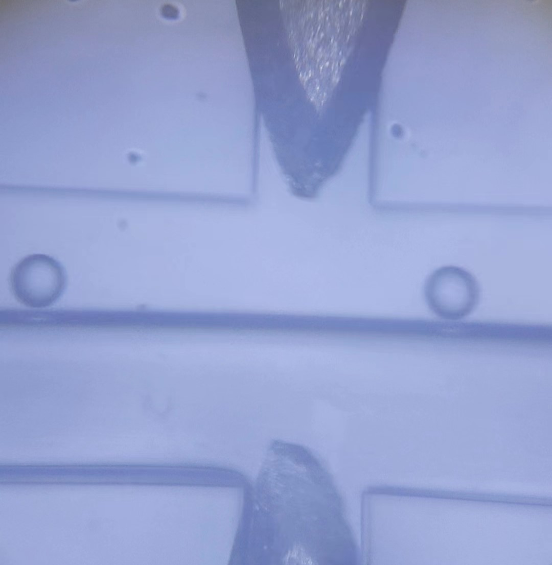 Dense Detect Object Detection Dataset by USTC