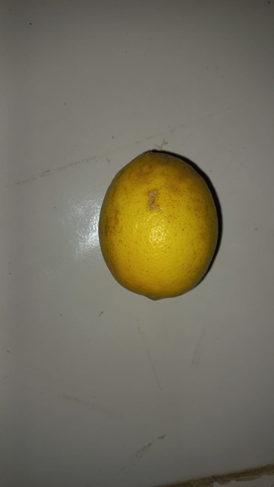 Lemon Object Detection Model by riyadh lakadimu