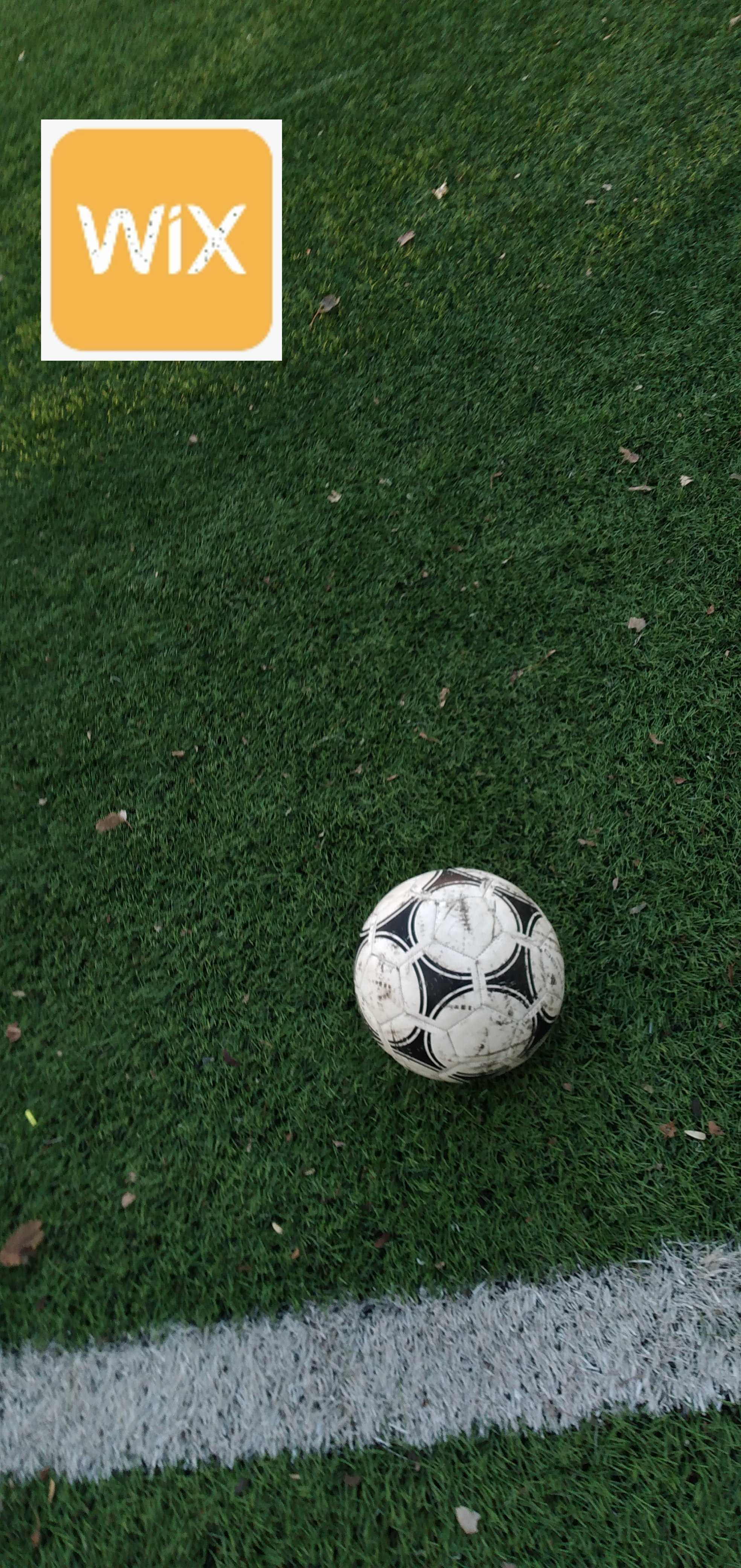 LOGOS Object Detection Dataset and Pre-Trained Model by workspace1