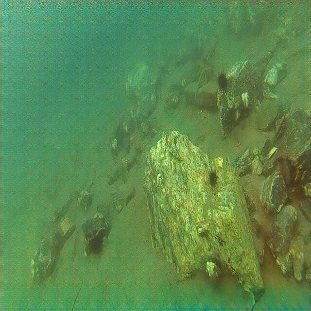 underwater-objects-5v7p8-j8co7-dipp Object Detection Dataset by Roboflow100VL Full