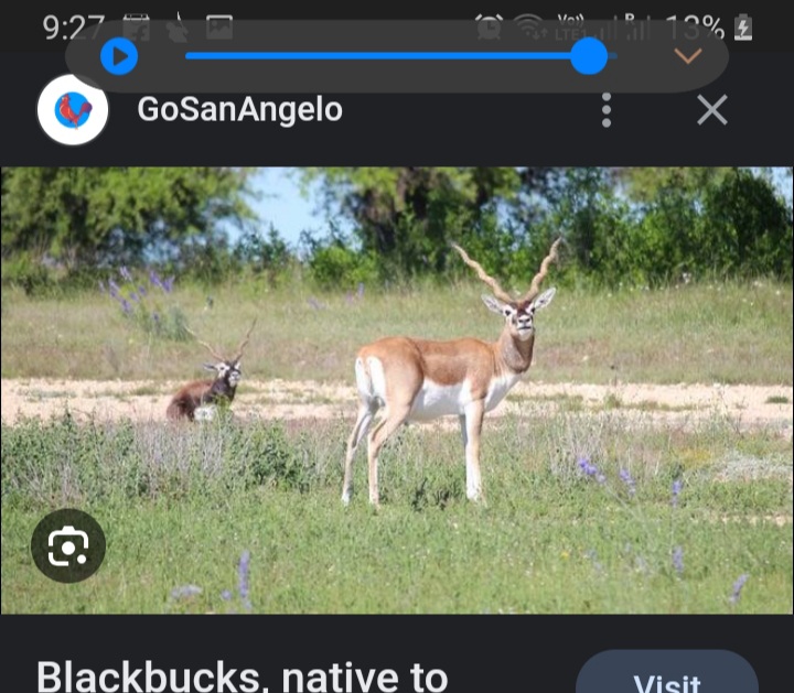 Gaurav Mishra Object Detection Dataset V1 2023 08 10 11 52am By