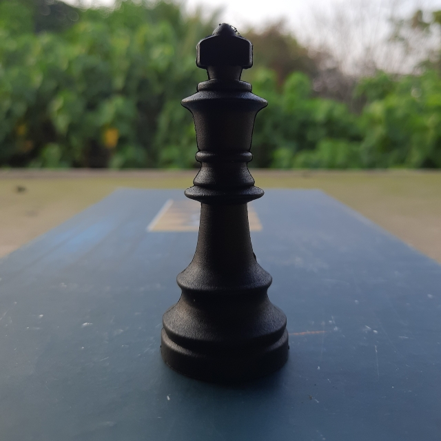 Chess Vision (chess-vision-98rbb) - Roboflow Universe