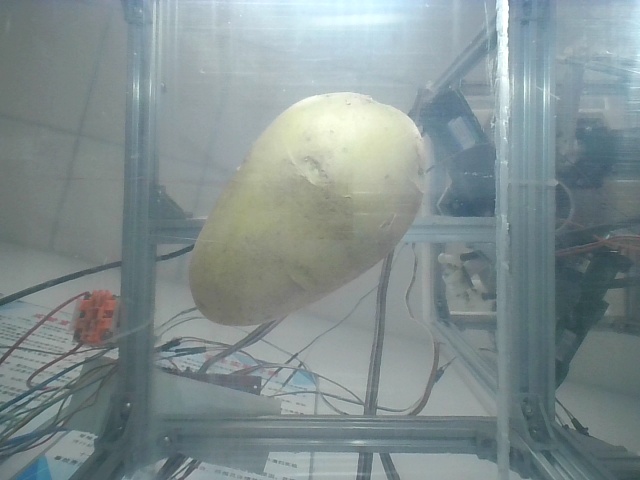 potato_seg Instance Segmentation Model by JieHuang