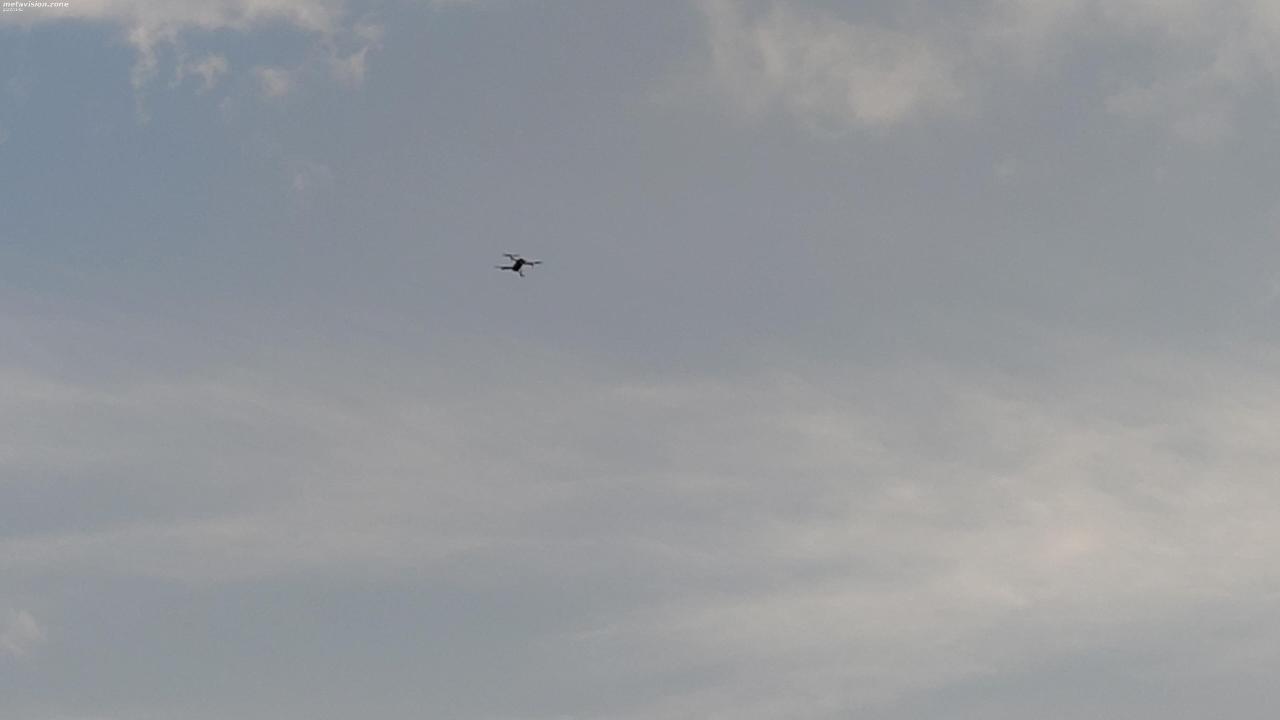 drone det Object Detection Dataset by sepsep