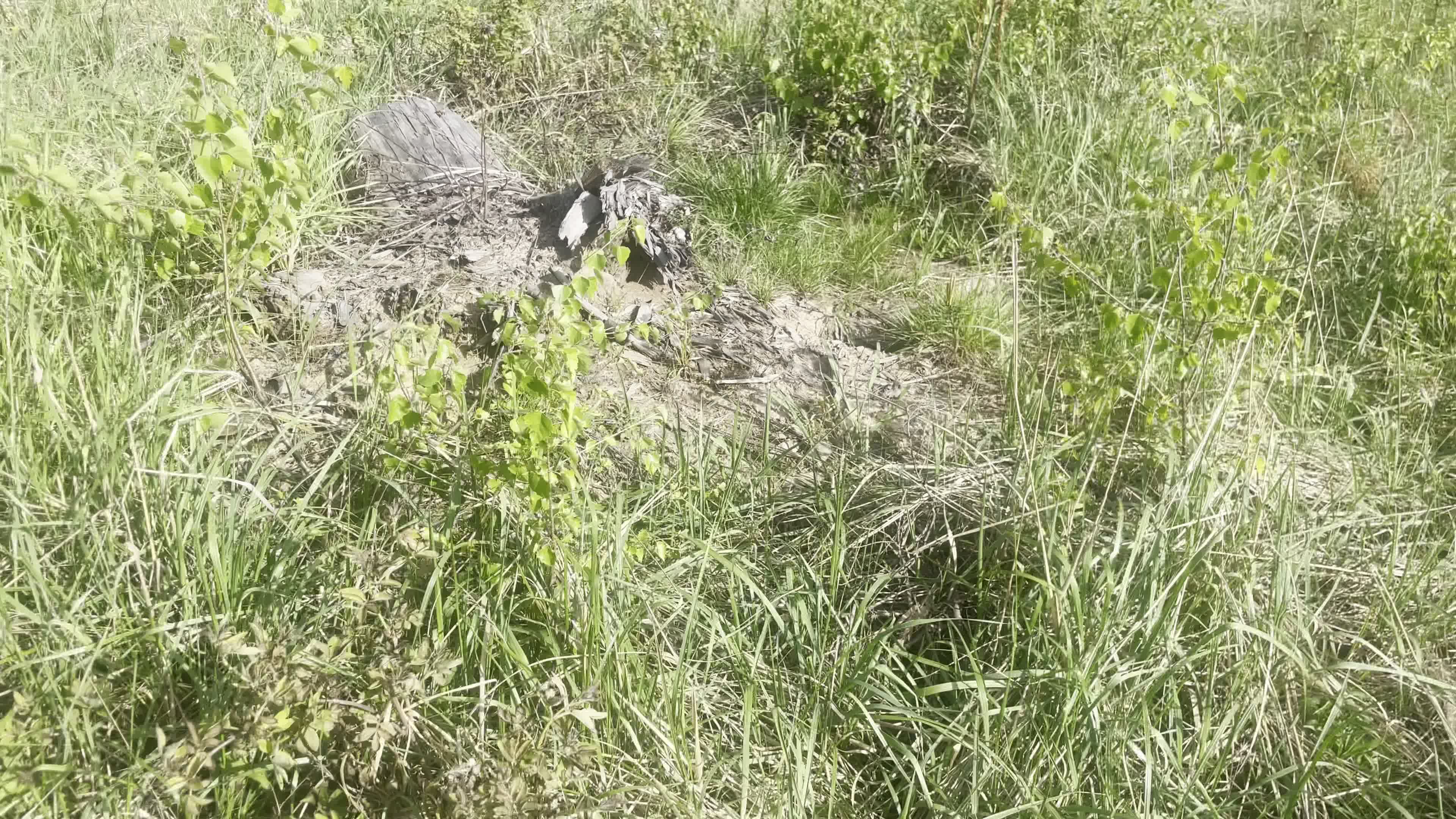 Rock Stones Object Detection Dataset V6 2024 05 21 4 44pm By Ai