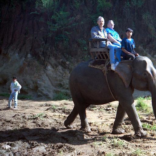 Human Body Pose Ground Truth Object Detection Model (v1, 2023-03-05 5 ...