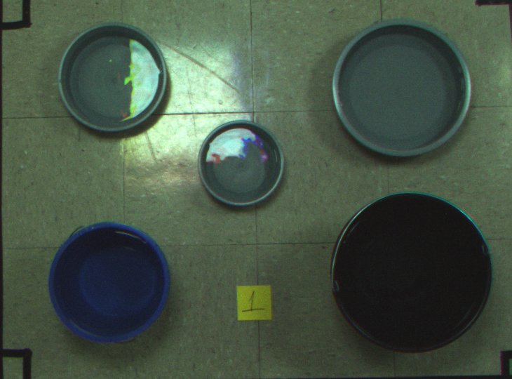 train_exp_rgb_v1 Instance Segmentation Dataset by PPGI Uninove