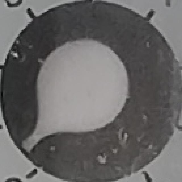 water meter master V1 Object Detection Dataset by project-cpwzm