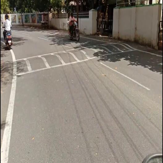 speed bumps Object Detection Dataset by AustinNoe