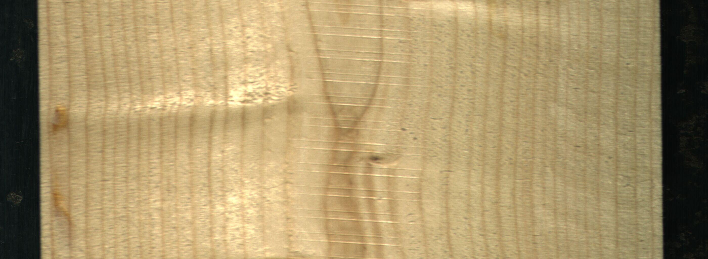 Board Defect Seg Instance Segmentation Model by Joey Nelson