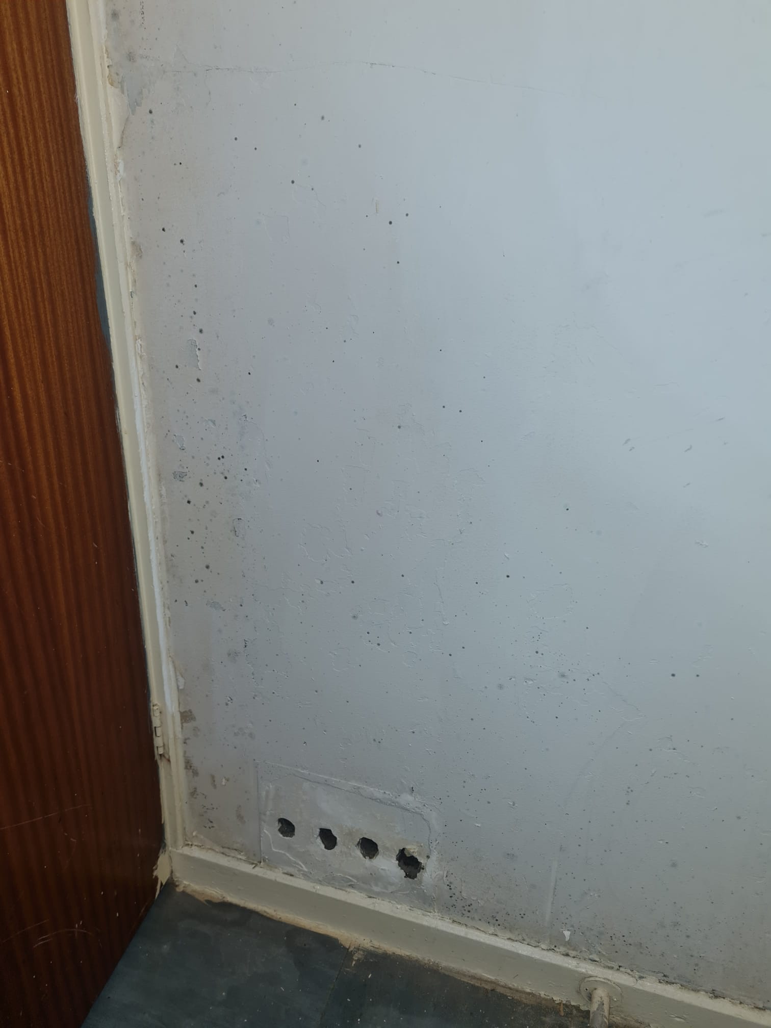 Mould Detection Aaron Object Detection Model By Dissertationproject