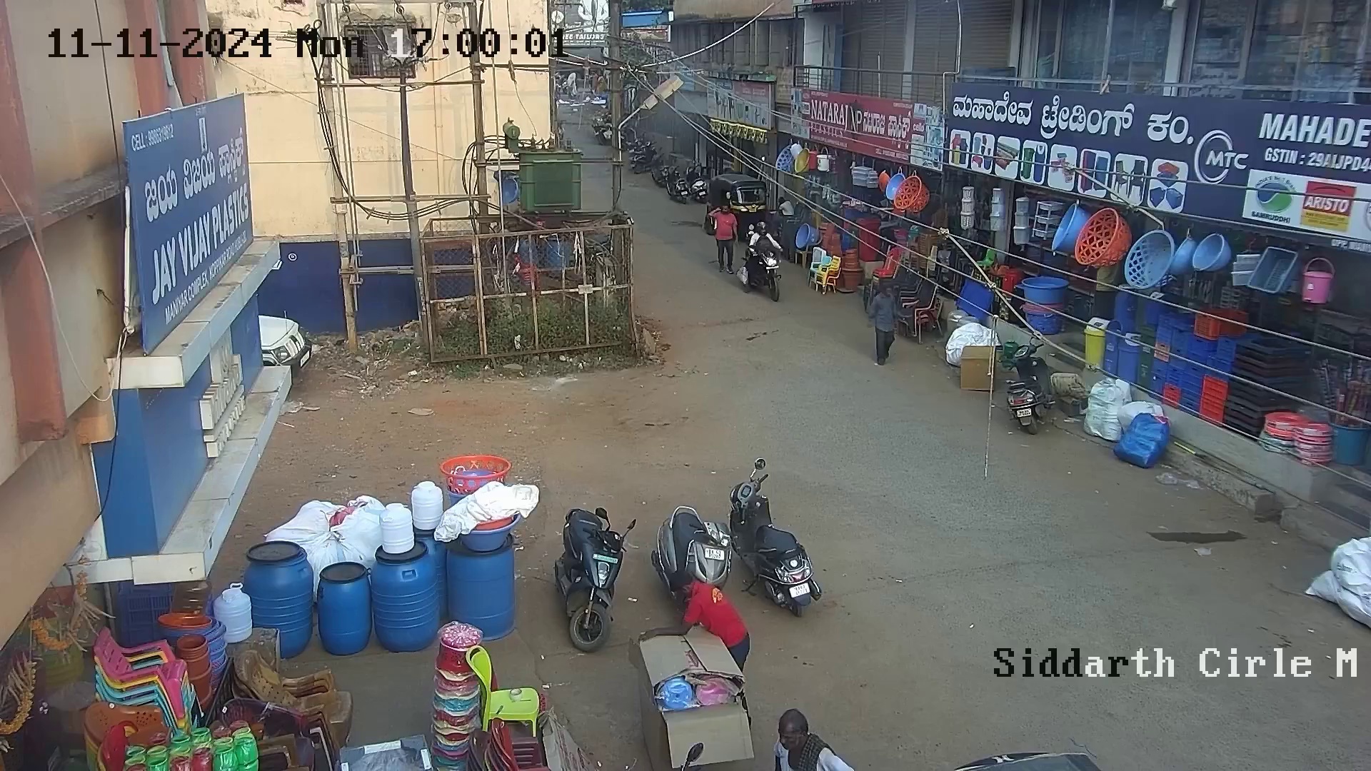 Pedestrian Detection Using Yolo Object Detection Dataset V1 2024 12