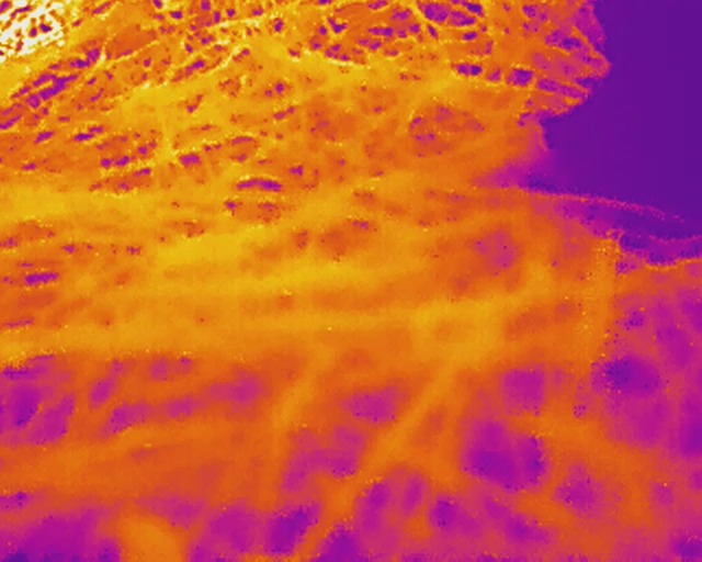 Fire Detection Object Detection Dataset And Pre Trained Model By Fire Detecting Drone