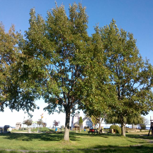 ath workspace - Roboflow Universe