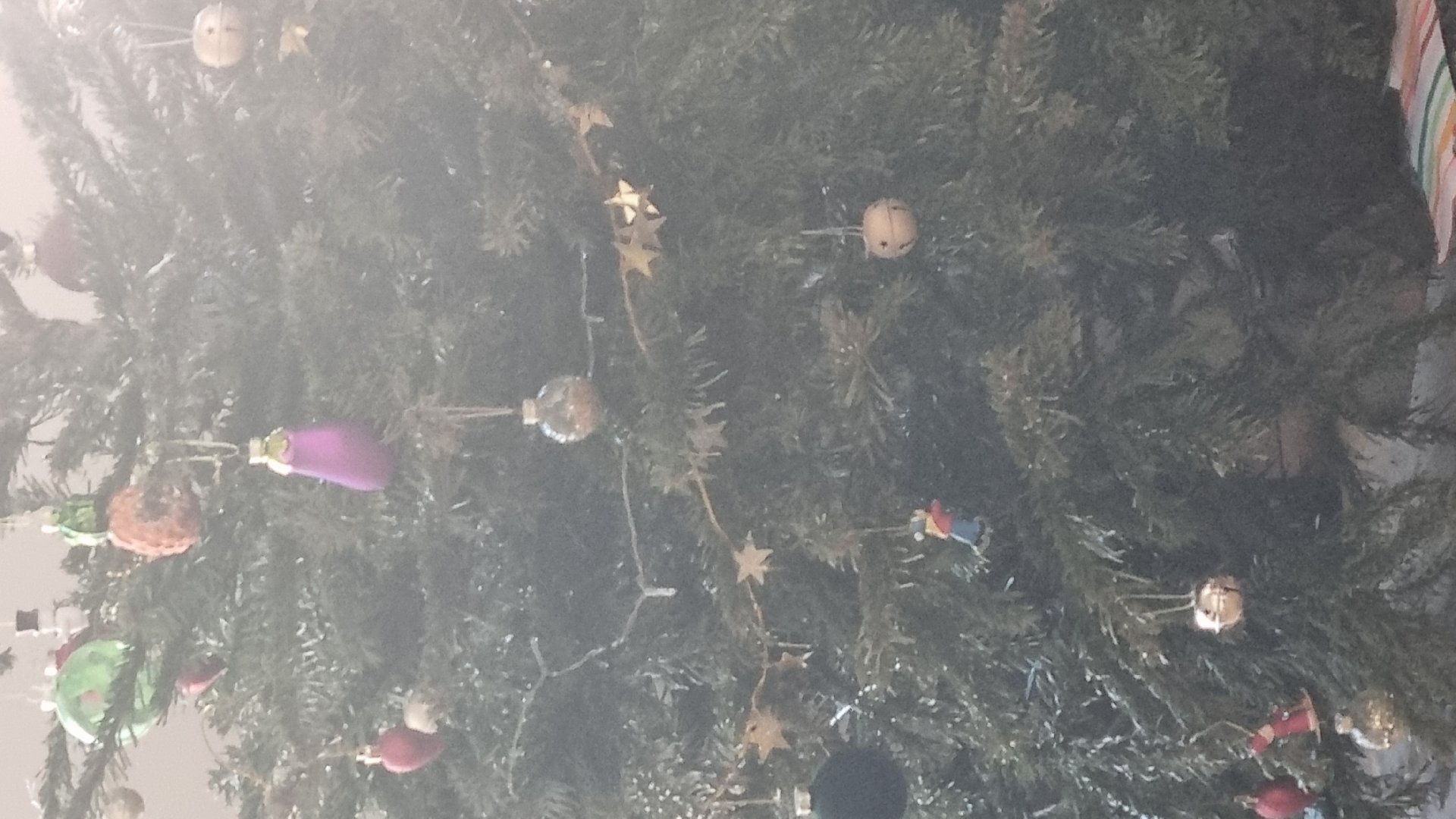 Firebase_photos Object Detection Dataset by StageLICAflora