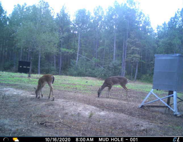 Weraa Tech - Object Detection Object Detection Dataset by Weraa Tech ...