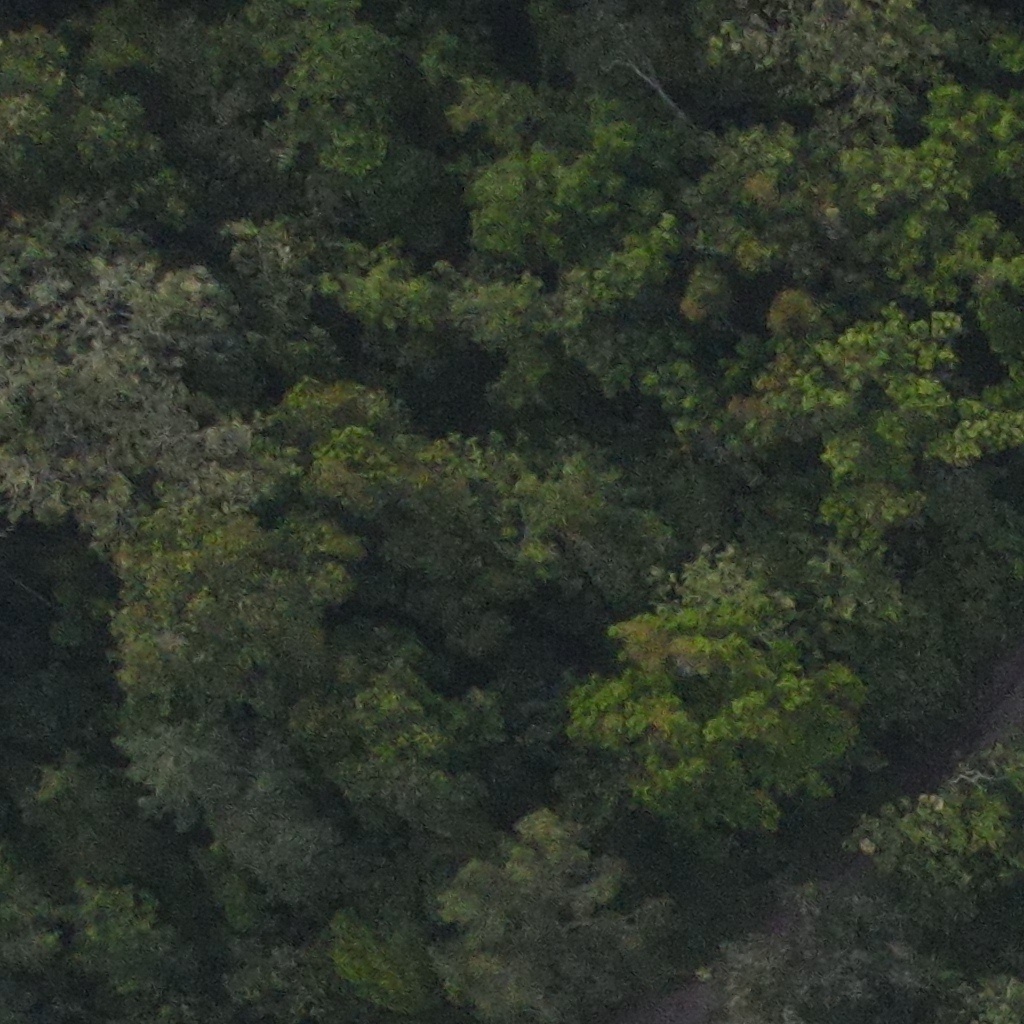 fish_ship Object Detection Dataset and Pre-Trained Model by Ship Detection