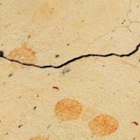 Cracks detection Object Detection Dataset and Pre-Trained Model by ok