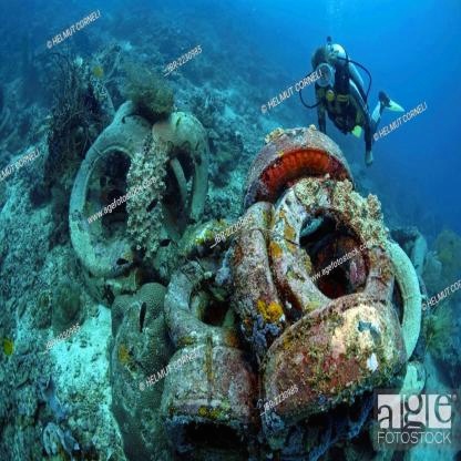 Underwater Plastic Instance Segmentation Dataset and Pre-Trained Model by kiadtiphum