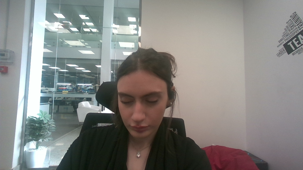 face Recognition Object Detection Dataset by ivana