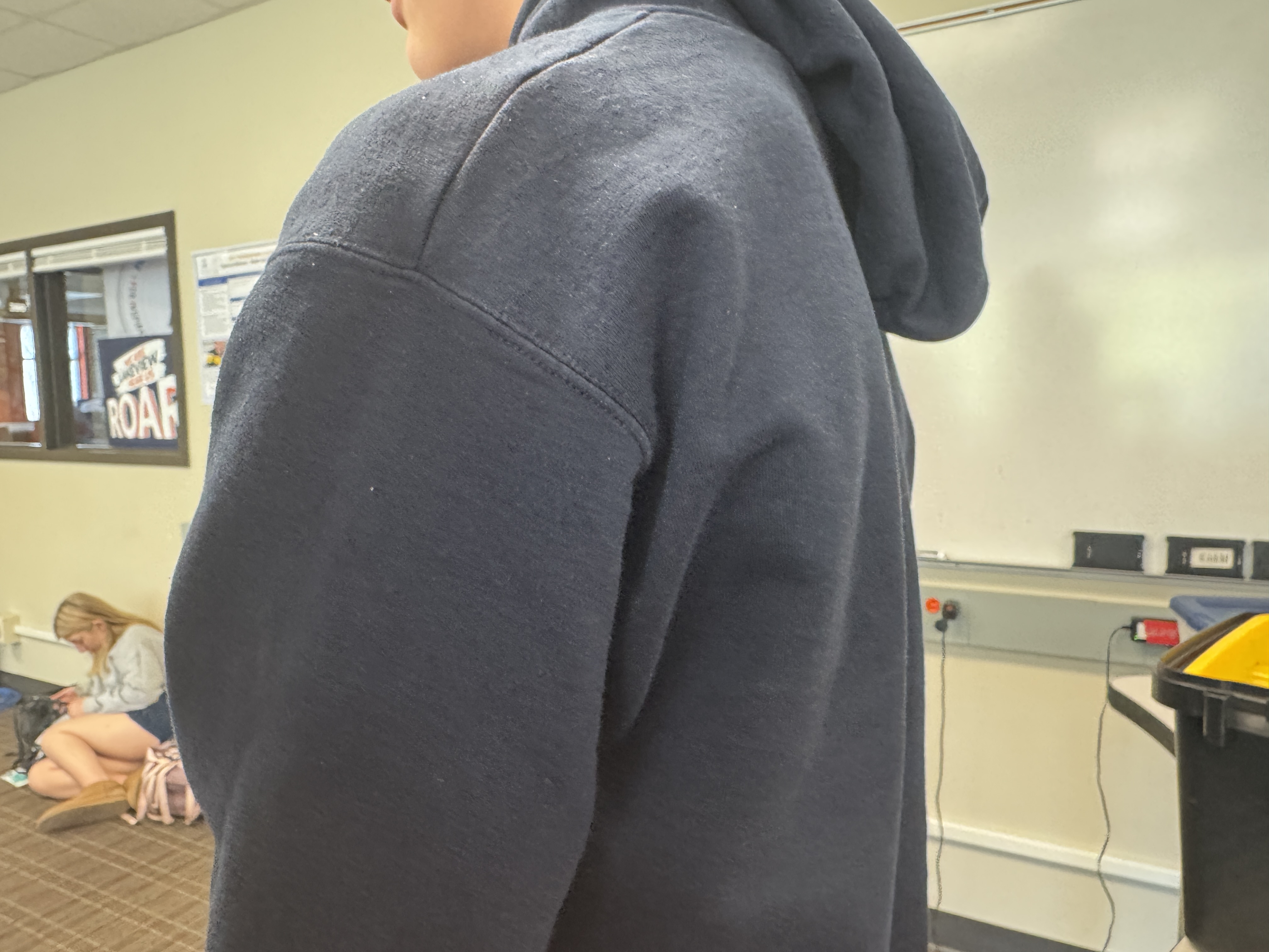 Negative FTC 2024-2025 Object Detection Dataset by Study Hall