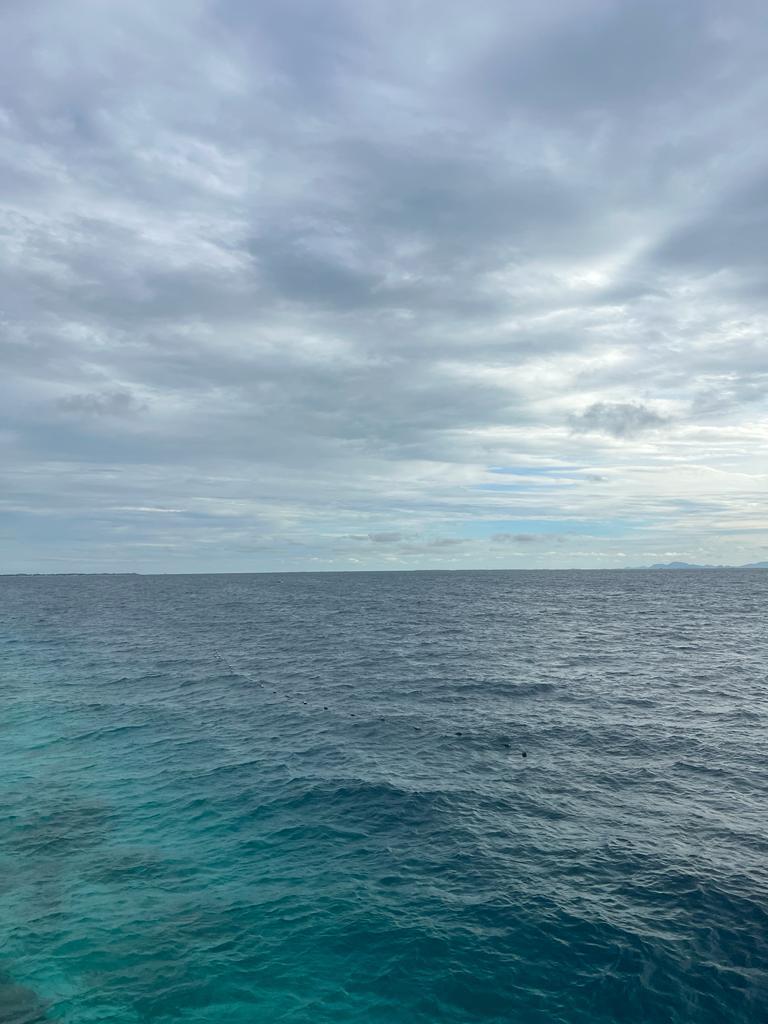 Sea Sky Line Detection Instance Segmentation Dataset by SeaSkyLine