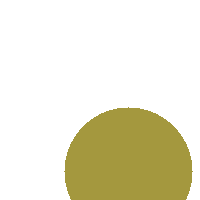 2D Shapes Dataset Object Detection Dataset and Pre-Trained Model by ejust