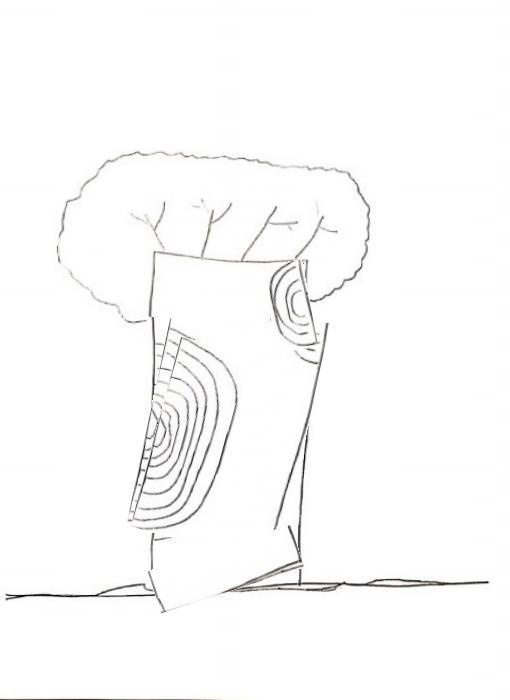 Trees Instance Segmentation Dataset And Pre Trained Model By Selfdev