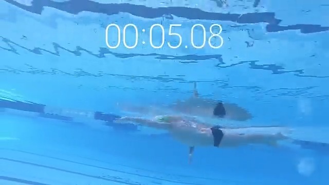 Swimming Dataset Keypoint Detection Dataset by Swimming dataset
