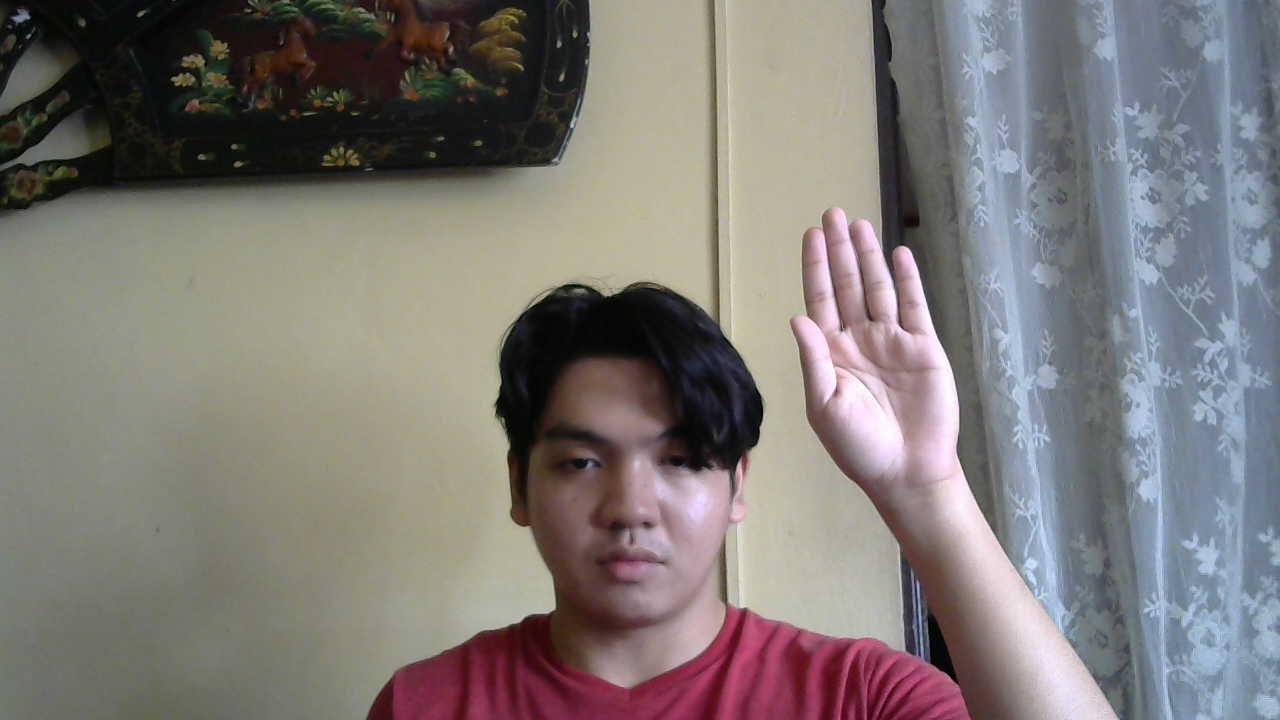 How to Use the Hand Signal Object Detection API