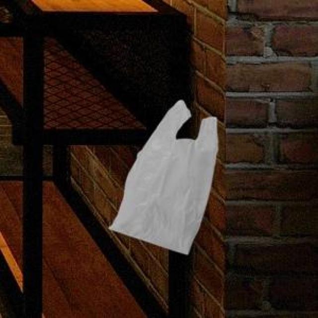 Plastic Bags (1000) Object Detection Model by SERP Summer Plastic Bags
