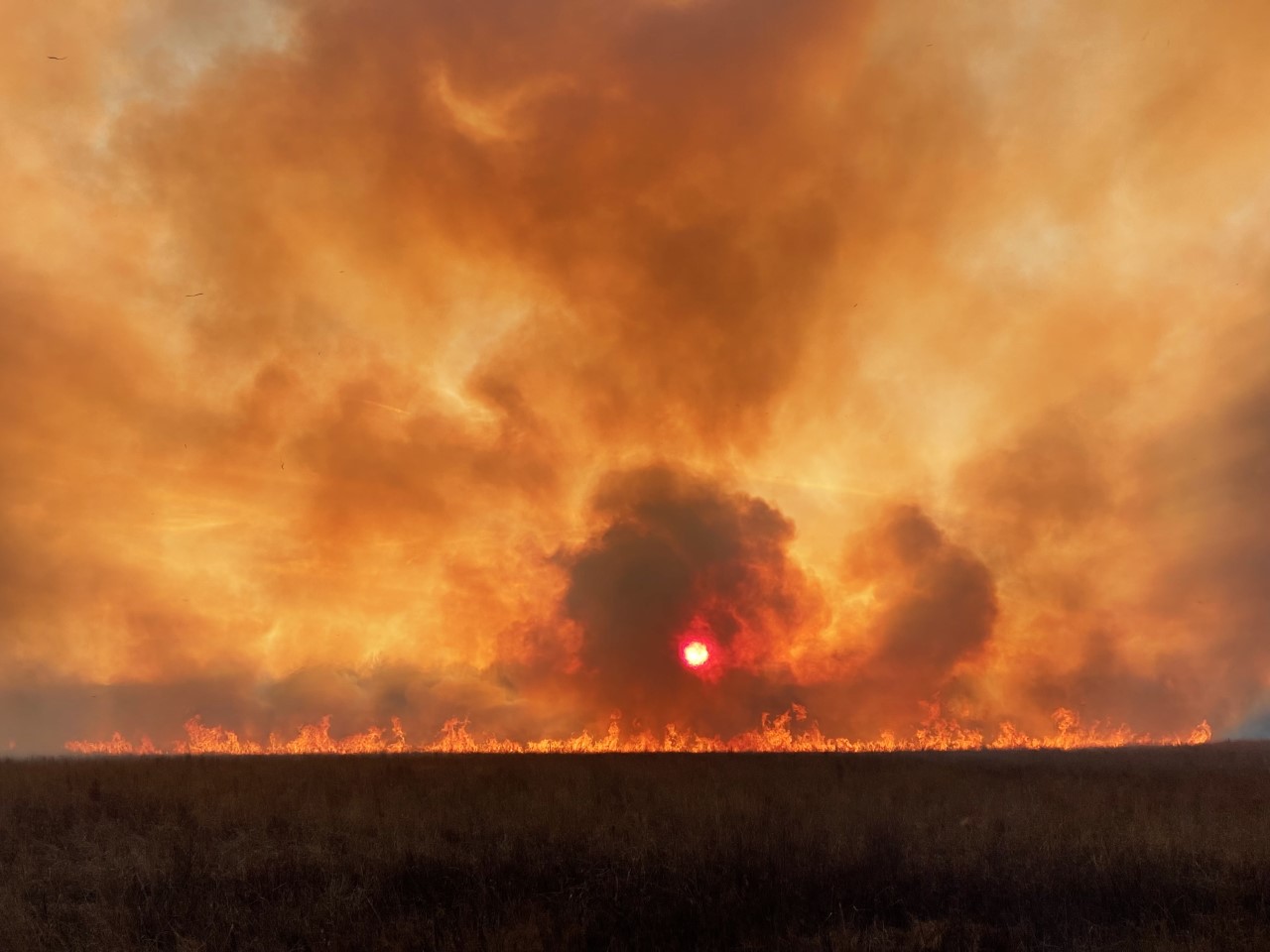 wildFire Object Detection Dataset by Fire