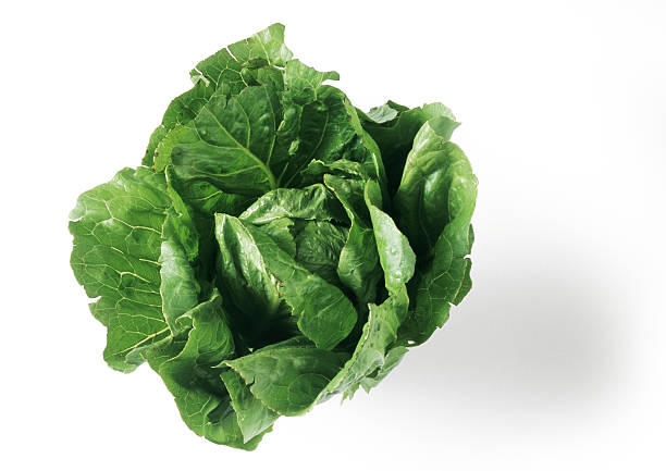 How to Use the THESIS Object Detection API